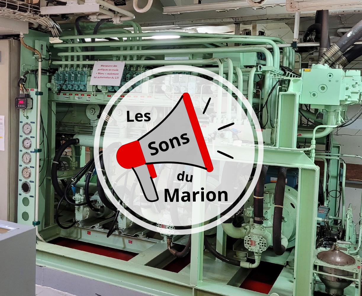 Les "Sons du Marion" - Ecole Universitaire de Recherche en sciences ...