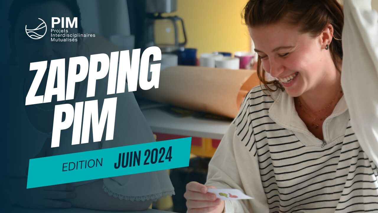C'est l'heure du zapping : PIM de juin 2024 - Ecole Universitaire de ...